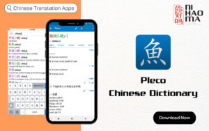 TOP 9 Chinese Translation Apps For Travelers And Learners