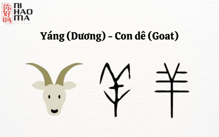 The Ultimate List of 214 Chinese Radicals: Meanings and Tips