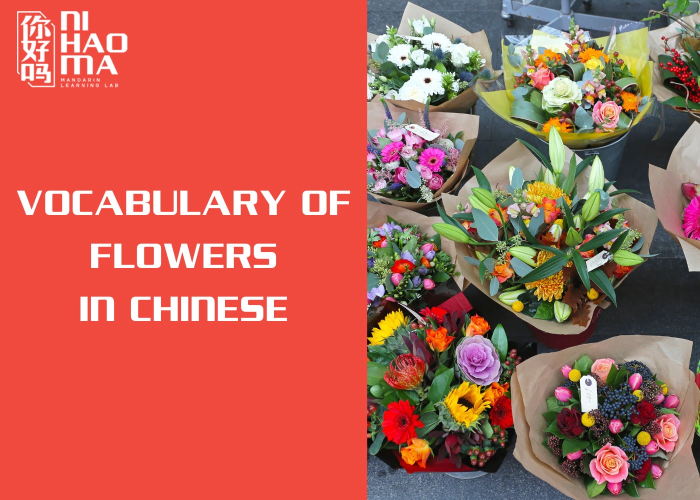 Vocabulary of Flowers In Chinese: Symbolism, Idioms And Expressions