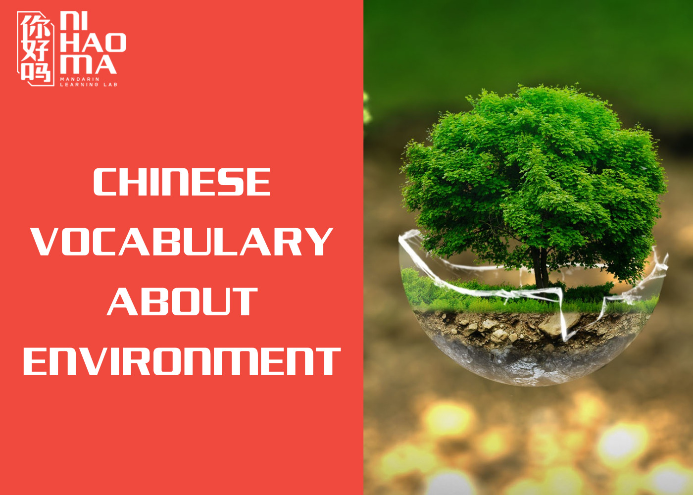 70+ Chinese Vocabulary About Environment and Sample Dialogues