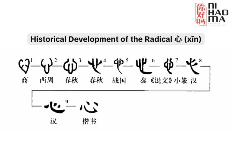 The Heart Radical in Chinese: Meaning, Stroke Order and Examples