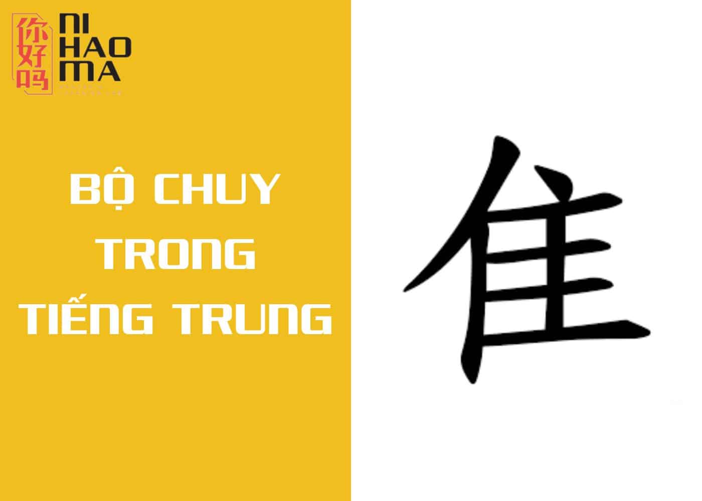 Bộ Chuy Trong Tiếng Trung Là Gì? Ý Nghĩa, Cách Viết Và Ví Dụ