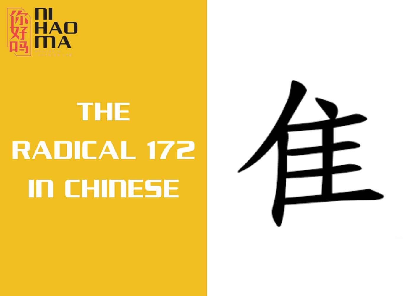 What Is the Radical 172 in Chinese? Meaning, Stroke Order, and Examples