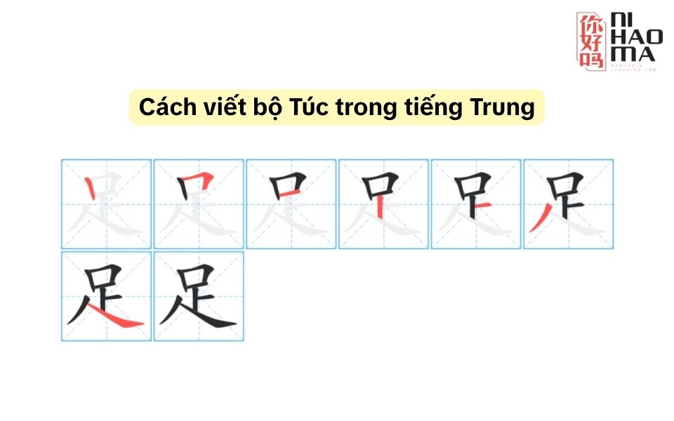 Bộ Túc Trong Tiếng Trung Là Gì? Ý Nghĩa Và Từ Vựng Phổ Biến